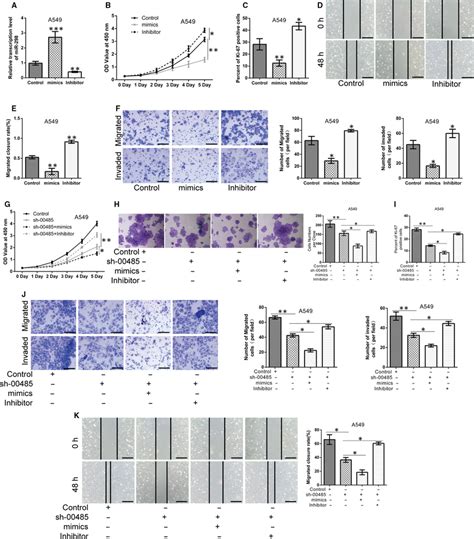 Linc00485mir‐298 Axis Modulates Proliferation Migration And Invasion