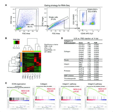 Transcriptome Analysis Of Endothelial Cells Ecs At 14 Days Download Scientific Diagram