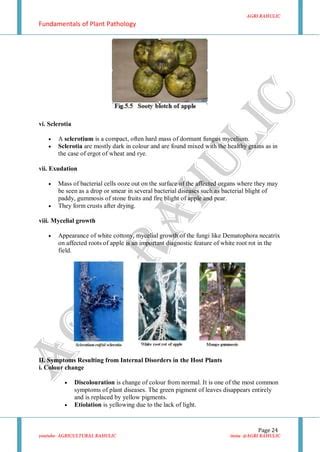 Fundamental Of Plant Pathology Pdf