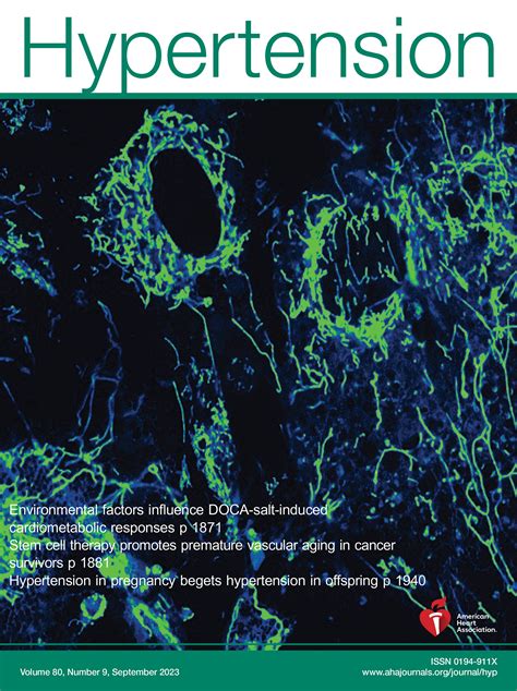 Editors Commentary On The 2023 Esh Management Of Arterial Hypertension