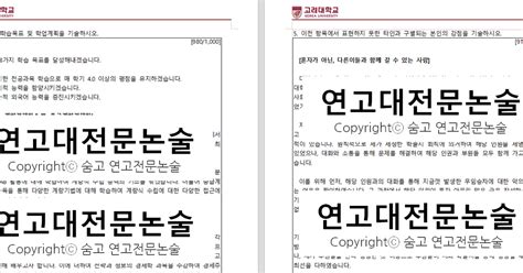 22학년도 고려대 합격자 학업계획서 작성 논술의 Key 숨고 숨은고수
