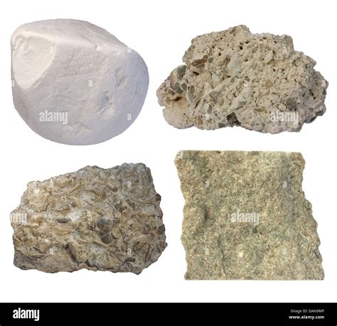 Fossiliferous Limestone