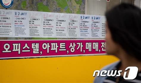정부합동 서울 부동산 실거래 조사 수상한 집값 잡아라 뉴스1