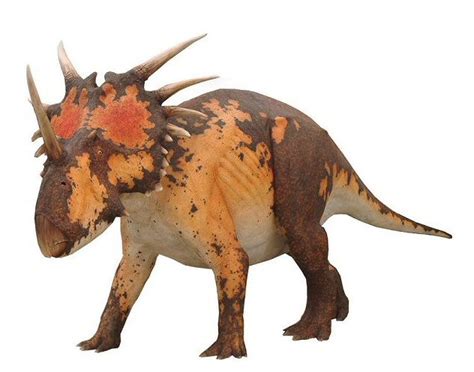 Styracosaurus Pictures And Facts The Dinosaur Database