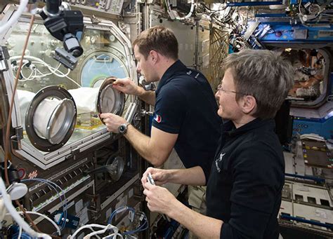 Nasa Space Station On Orbit Status 28 February 2017 Spaceref