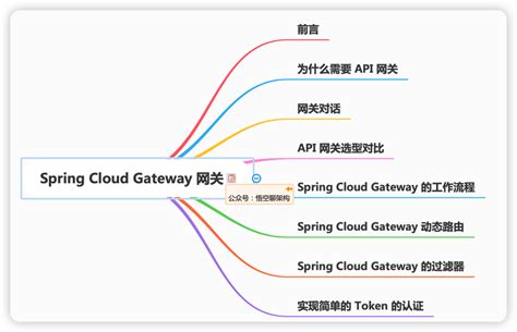 16 图 深入理解 spring cloud gateway 的原理 spring cloud gateway的作用