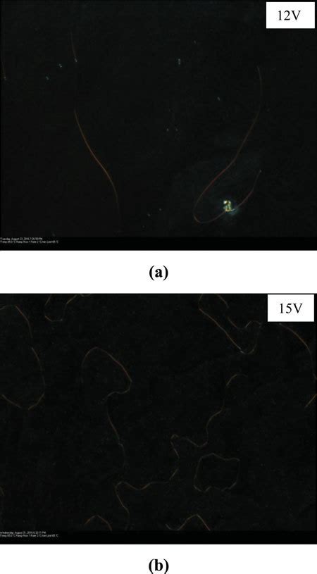 Figure Effect Of Applied Voltage Frequency KHz Square Wave For Download Scientific
