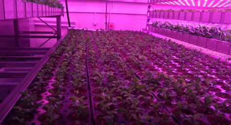 Vertical Farm Unveiled To Grow Crops And Reduce Water Use In Extreme