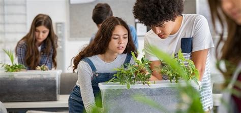 Stem By Design Middleweb