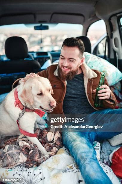 Passed Out Dog Photos And Premium High Res Pictures Getty Images