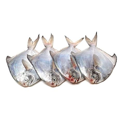 Buy Fresho Processed Whole Pomfret Small 250 Gm Online At The Best Price Of Rs 689 Bigbasket
