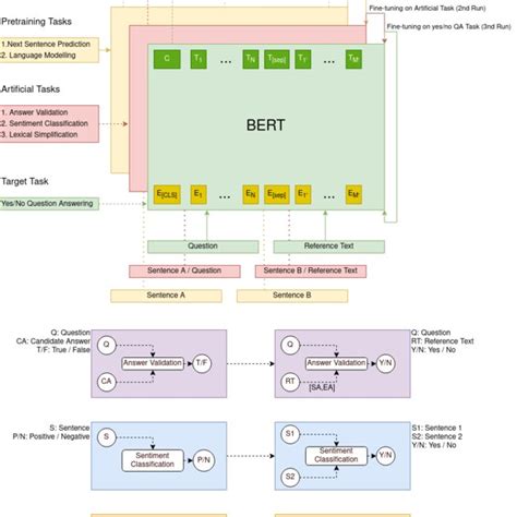 Visualizing The Fine Tuning Process On A Pre Trained Bert Model