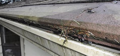 Raindrop Pro Gutter Guards Superior Gutter Protection