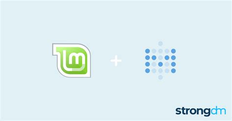 Linux Mint Integrating Into A Metabase Workflow StrongDM