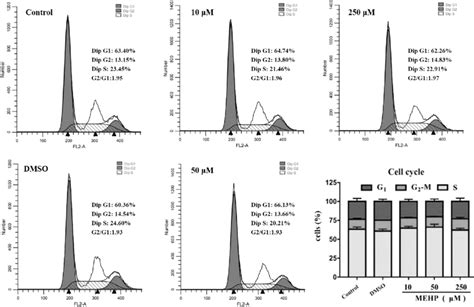 Effects Of Mehp On The Cell Cycle On 3t3 L1 Cells Download