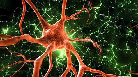 Red Neuron Cells Firing Electrical Signals On Green Neural Network Stock Video Video Of