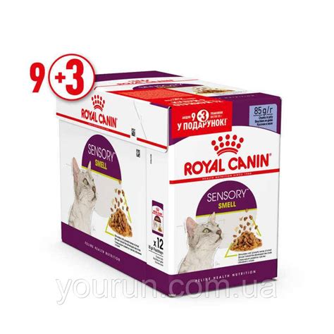 Royal Canin (Роял Канин) Sensory Smell In Jelly-консервы для Кошек ...