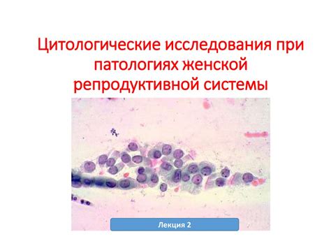 Цитологические исследования при патологиях женской репродуктивной ...