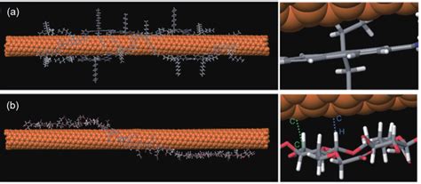 Optimized model structures showing top and side views of (6,5)-SWNTs... | Download Scientific ...