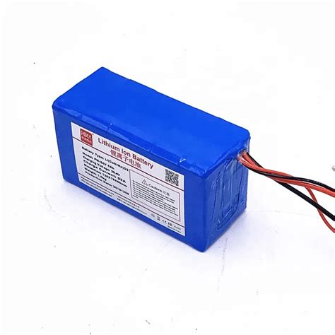 24 Volt Lithium Ion 24 V Li Polymeer Batterij 5ah 6ah 10ah 11ah 12ah ...