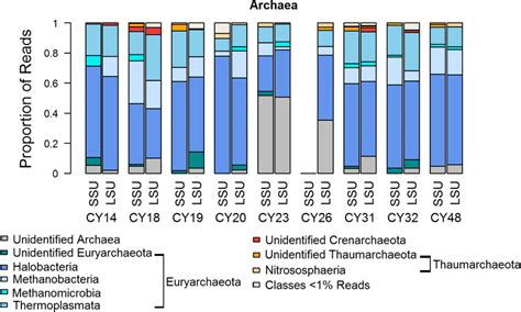 Taxonomic Composition Of Archaea Taxonomic Classification And Download High Resolution
