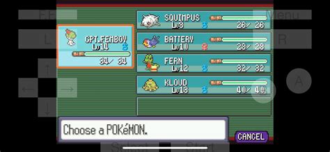 Prepping For The Post Roxanne May Fight And Just Wanted To Show Off My