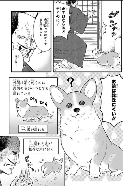 ボールペンの替芯 On Twitter Rt Tonotoinu 雨の日の武士とコーギー☔️ 殿と犬 単行本2巻 5月15日発売
