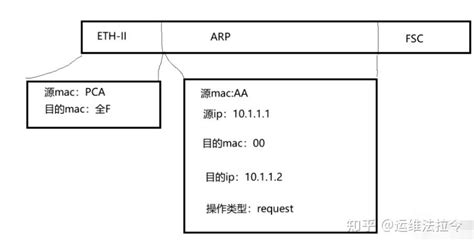 Arp协议详解 知乎