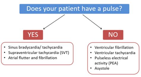 Acute Care Acls Flashcards Quizlet