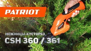 Ножницы-кусторез аккумуляторные PATRIOT CSH 361 с удлиненной ручкой на ...
