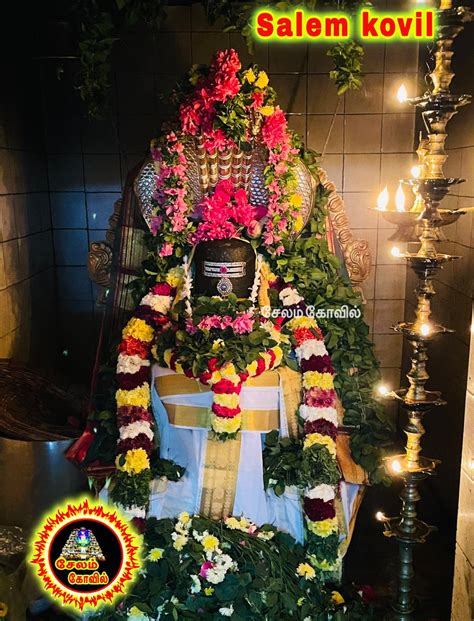 Salem Kovil சேலம் கோவில் சேலம் அஸ்தம்பட்டி ஶ்ரீ ஜெயில் முனியப்பன்