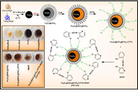 figure 1 from fabrication and characterization of new fe3o4 sio2 tio2