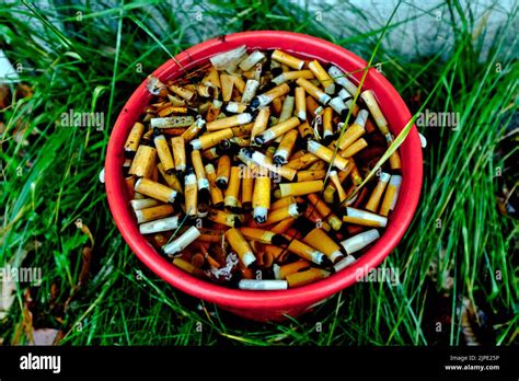 Addiction Waste Bucket Cigarette Stub Addictions Wastes Buckets