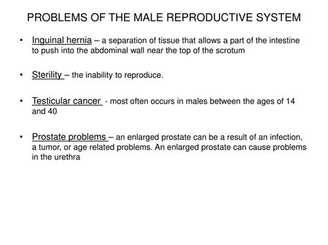 Ppt The Male Reproductive System Powerpoint Presentation Free