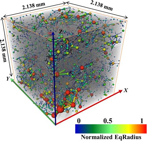 The Extracted Pore Network Model From Sample S9 In This Case Gray