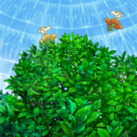 Pokemon Go All Flabébé Color Variations And Where To Find Them Prima