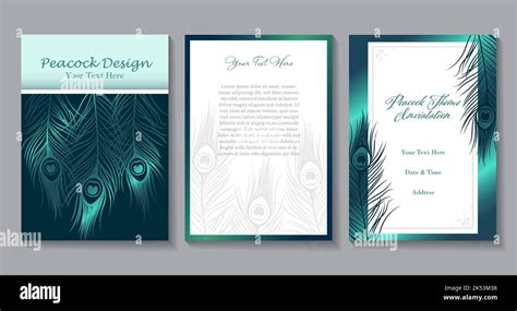 A Set Of Peacock Card Designs Stock Vector Image And Art Alamy