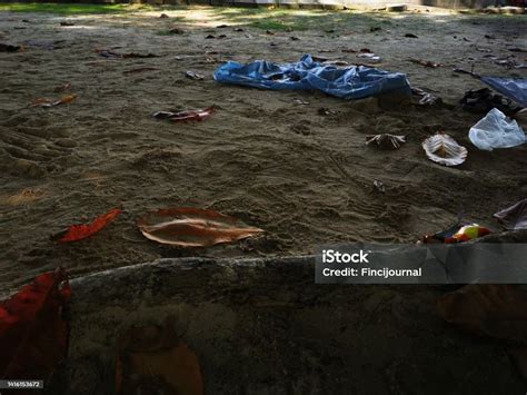 Daun Dan Sampah Berserakan Di Pantai Foto Stok Unduh Gambar Sekarang