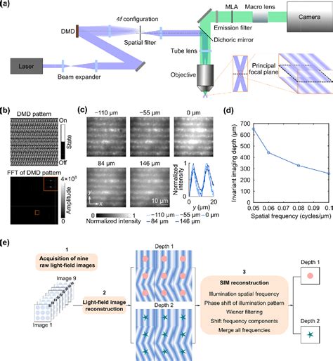 Figure 1 From High Resolution Light Field Microscopy With Patterned