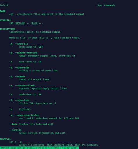 5 Basic Commands In Linux That Every Linux User Should Know Devops
