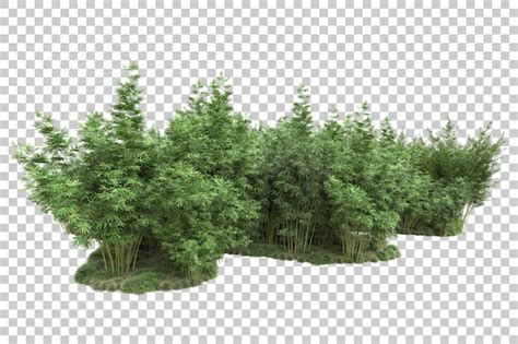 透明な背景の 3 D レンダリング図に分離された景観配置 Premium Psd