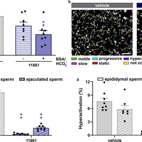 Systemically Delivered TDI Blocks Motility And Capacitation Of Download Scientific