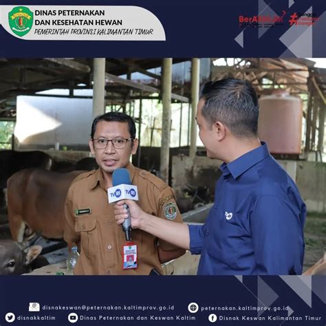 Stok Pangan Asal Ternak Aman Menjelang Lebaran