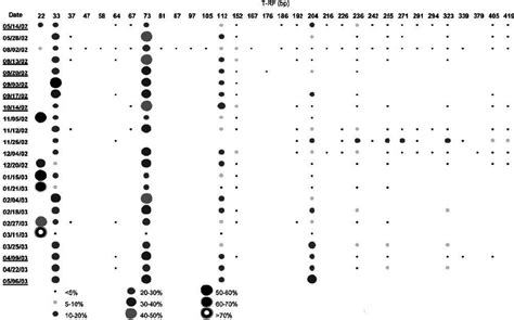 T Rflp Profiles Showing The Relative Abundances Of T Rfs Over The Download Scientific Diagram