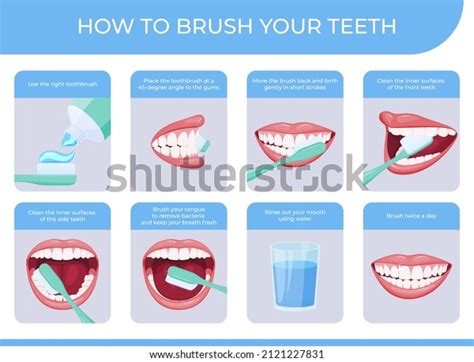 Tooth Brushing Techniques Over 190 Royalty Free Licensable Stock
