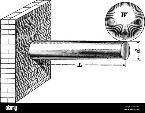 Cylindrical Meaning And Sentence At Terry Asher Blog