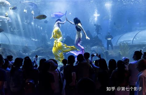 畅玩暑假，长沙海底世界嗨翻夏日指南！ 知乎