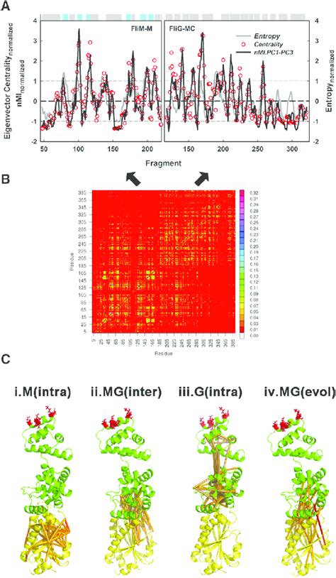 Network Analysis Of Local Correlations A The Eigenvector Centrality Download Scientific