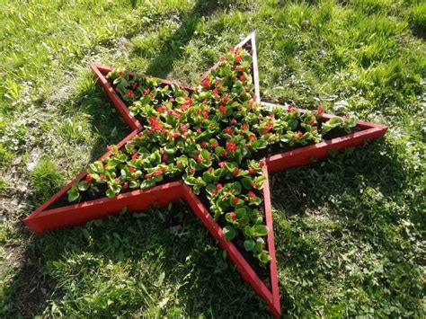 Клумба в виде звезды 77 фото красивые картинки и Hd фото