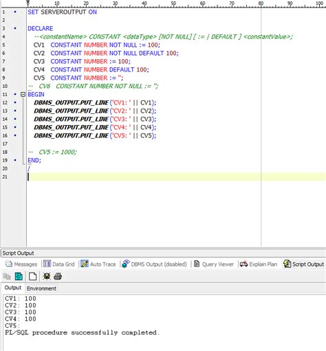 Oracle Plsql 상수 선언 Constant Declaration 오라클 범상치 않은 블로그